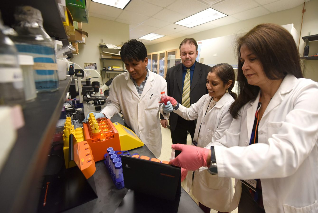 Peptide shows promise for protecting kidneys from nephritis – Jagwire