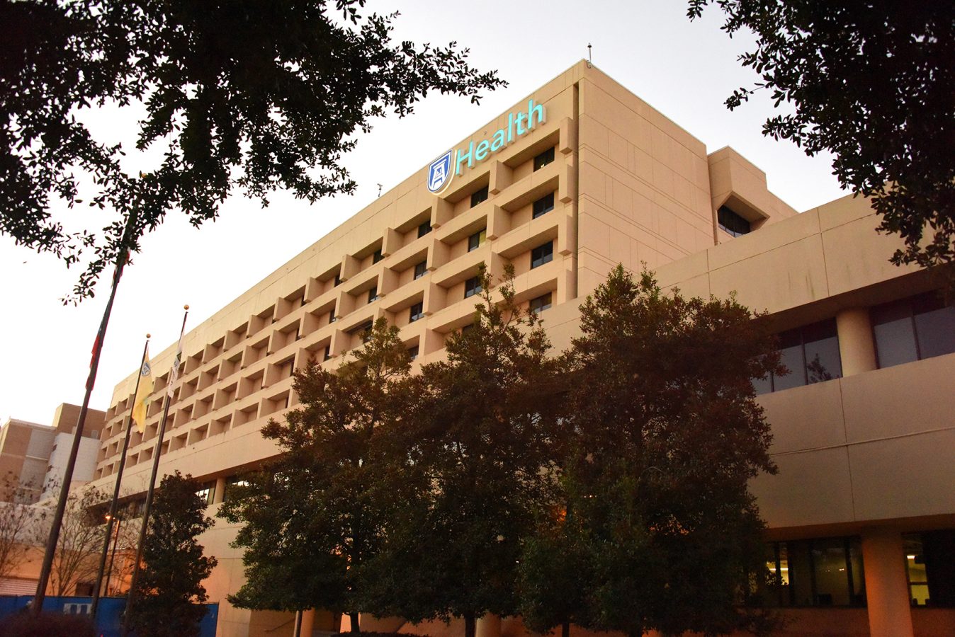 Sellers named chief information officer for Augusta University Health ...