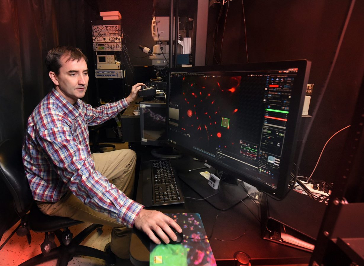 Scientists explore blood flow bump that happens when our neurons are ...