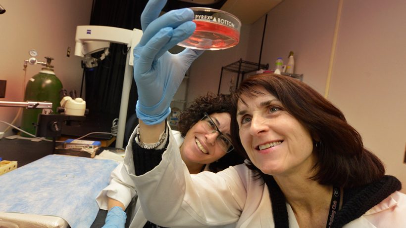 Medical College of Georgia’s Dr. Susan Fagan to receive prestigious ...