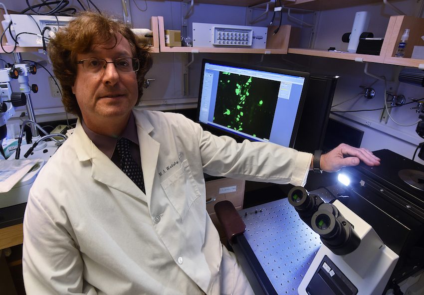 Watsky to step down as dean of The Graduate School; Sullivan named ...