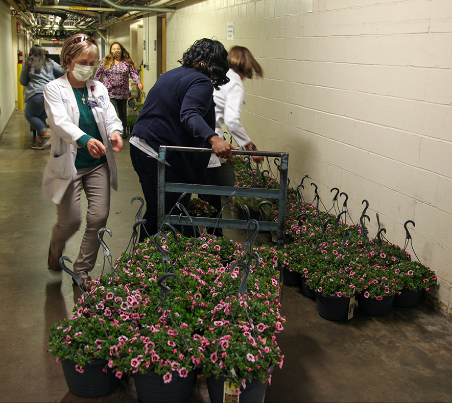 costa layman donation 22 – Jagwire