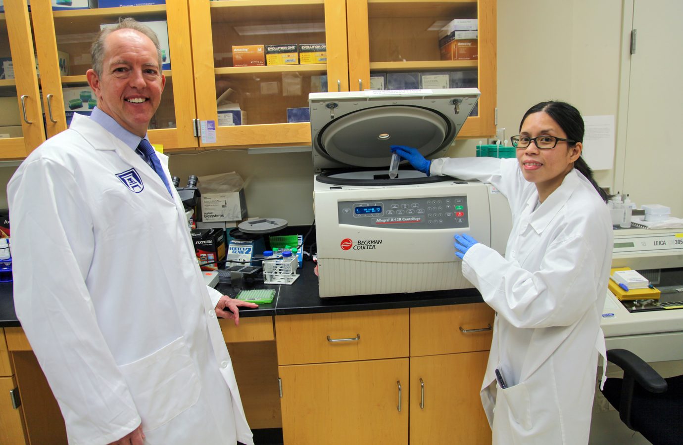 Stem cell therapy shows promise against age-related muscle loss – Jagwire