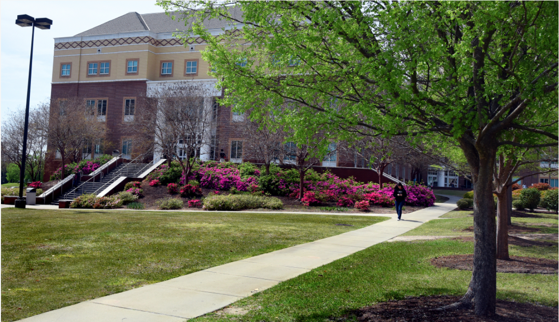 Discover your career options at Future Fest with Pamplin College alumni ...