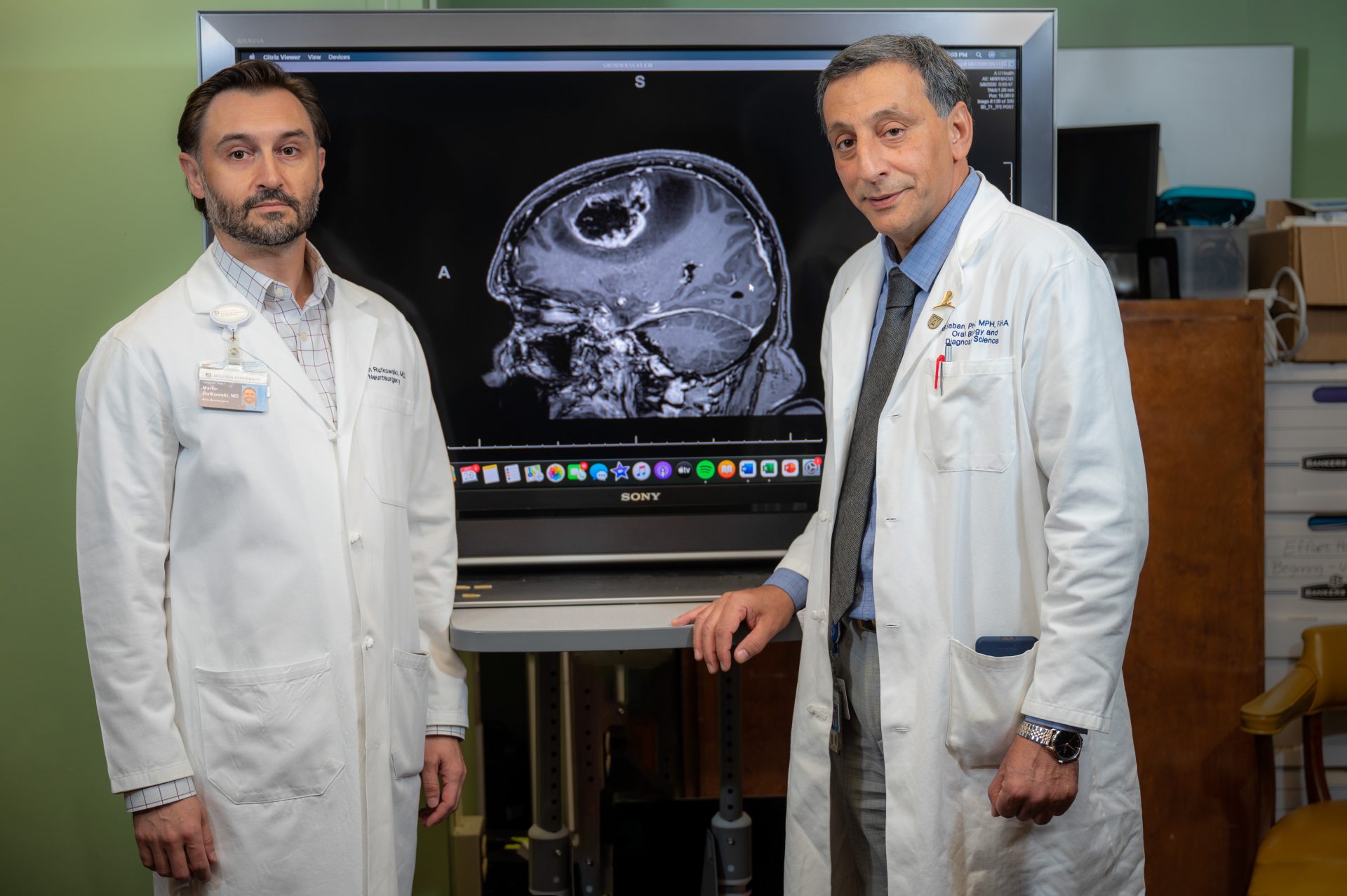 CBD reduces glioblastoma’s size, supportive environment in experimental ...