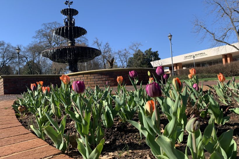 What’s happening at Augusta University? April 18-24 – Jagwire