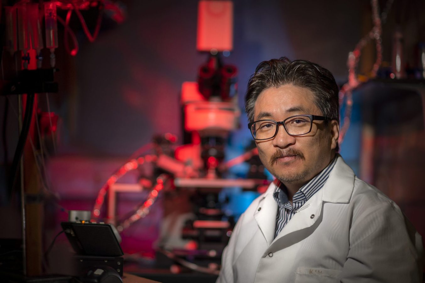 Molecular changes in the brain in the aftermath of a traumatic event ...