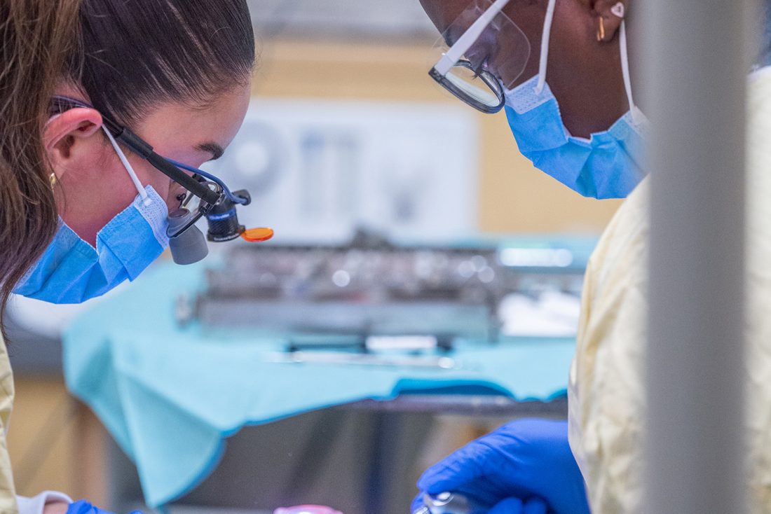 Dental College of Georgia hosts Give Kids a Smile Day – Jagwire