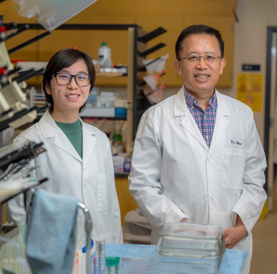 Gene essential to making DNA appears to be a good target in minimizing ...