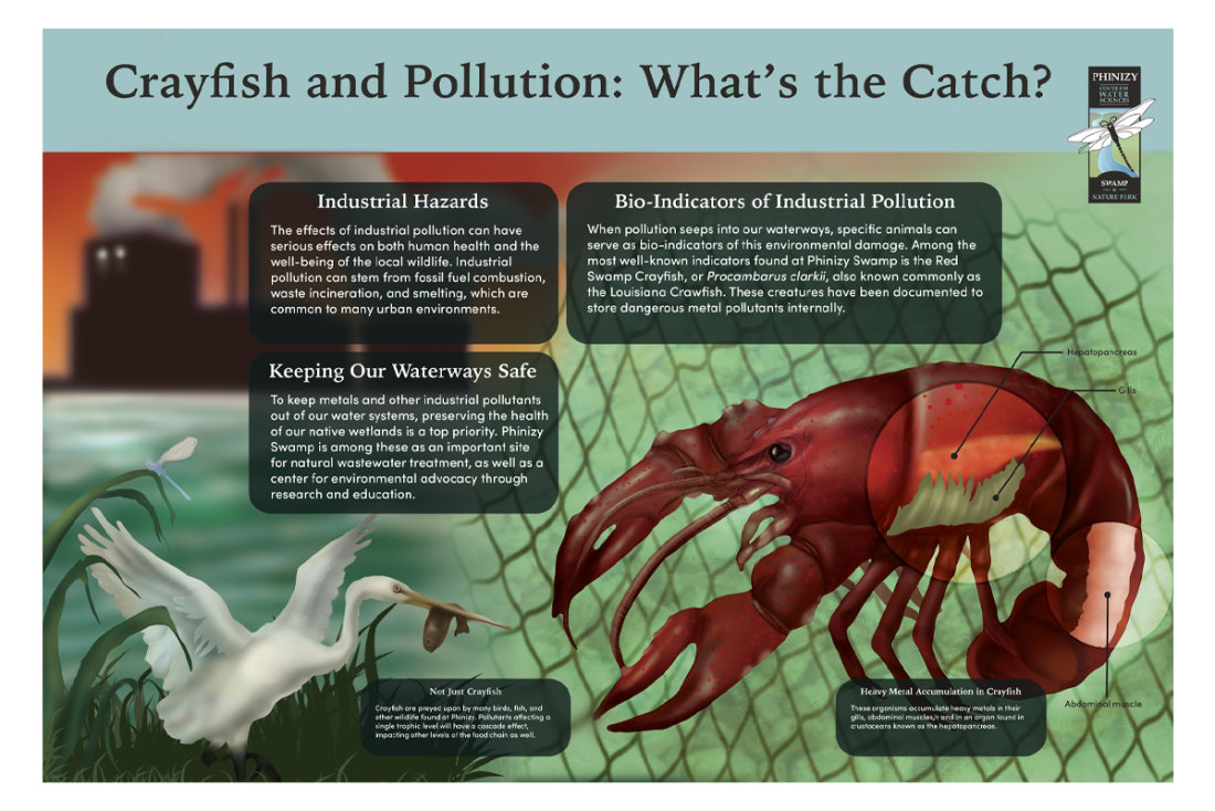 Augusta University medical illustration students bridge the gap between ...