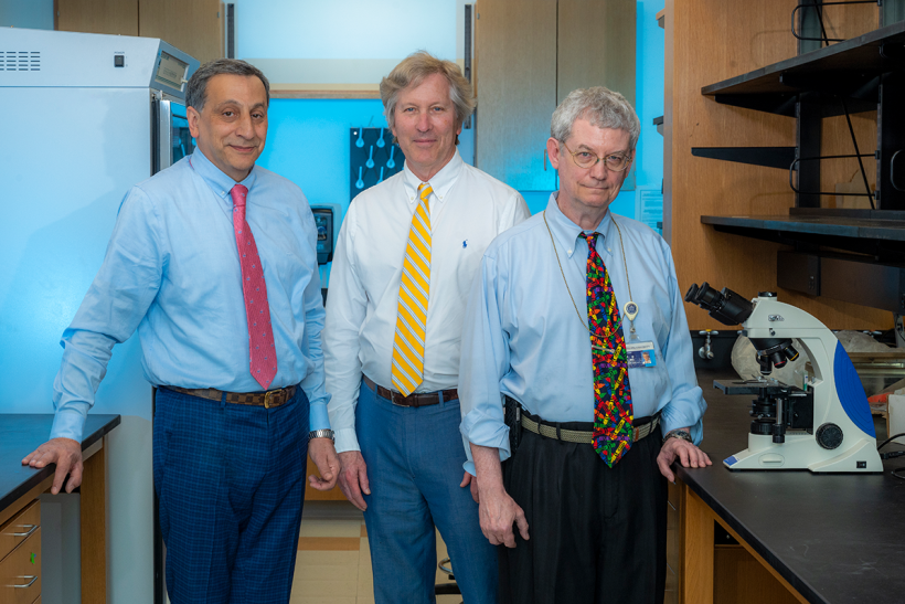 MCG faculty researchers named Regents’ Entrepreneurs for advancing ...