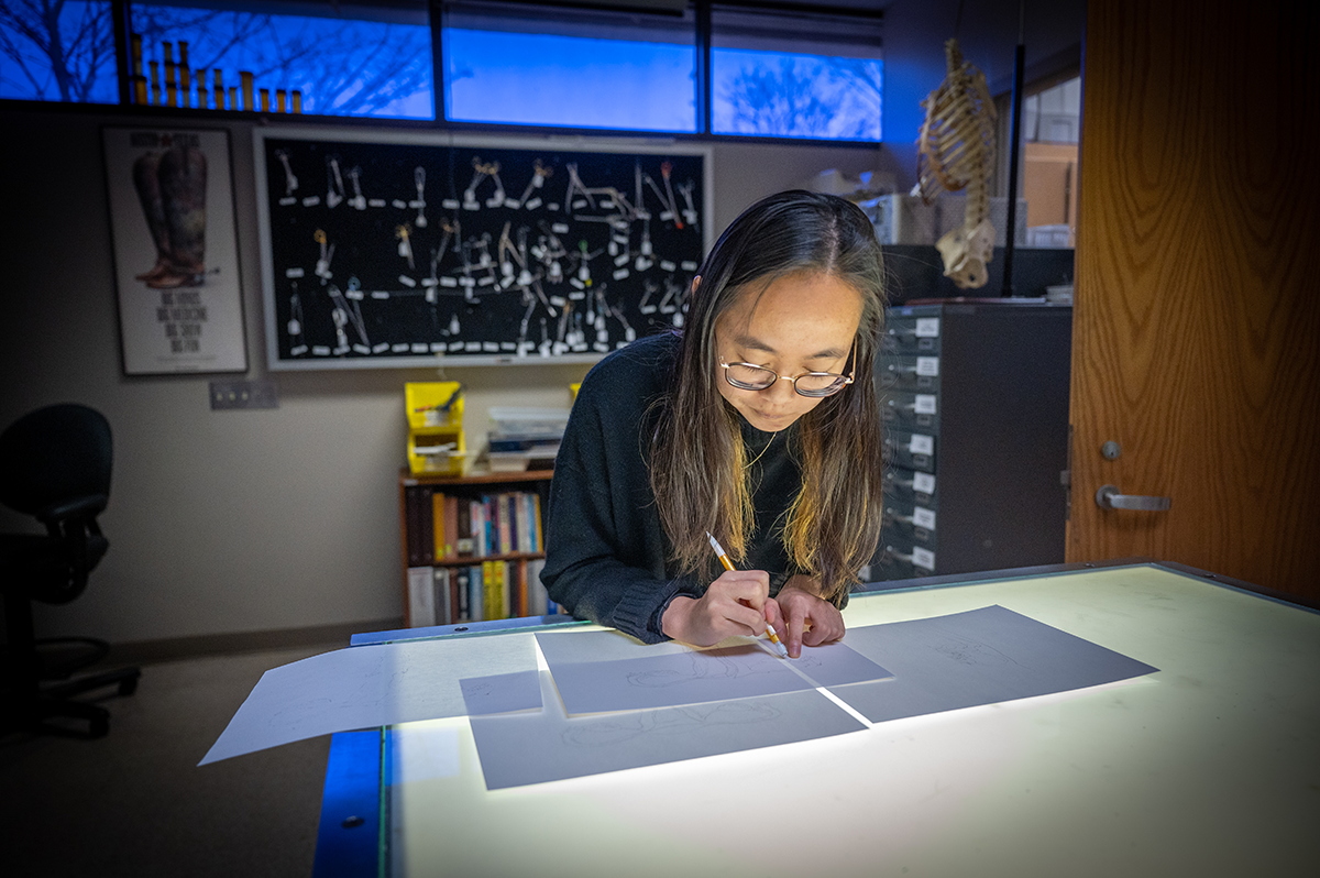 Augusta University medical illustration students bridge the gap between ...