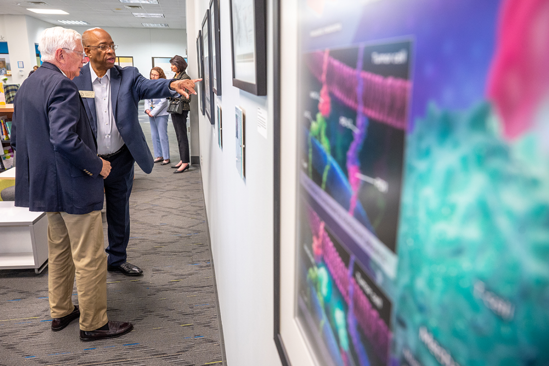 Check out the new look for Augusta University’s Greenblatt Library ...