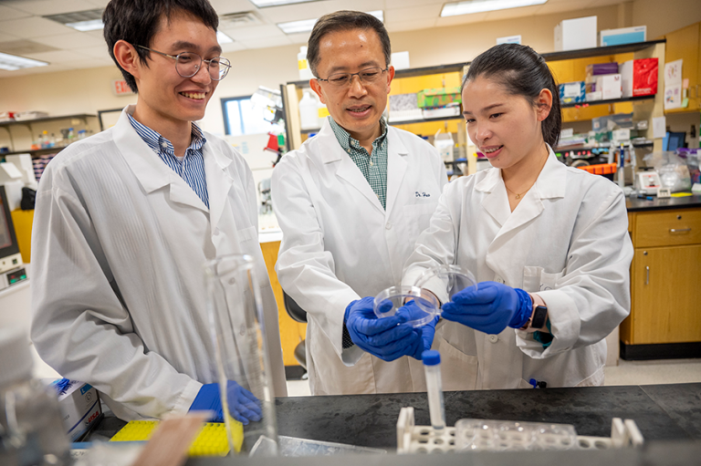 MCG scientists identify new treatment target for leading cause of ...