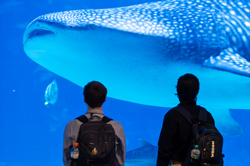 Leaders share insights of AU, Wellstar partnership at Health Connect South – Jagwire